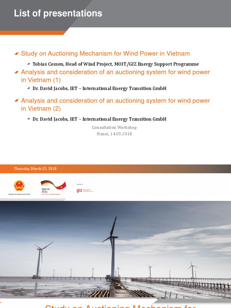 GIZ Auctioning Study - EN PDF | PDF | Wind Power | Auction