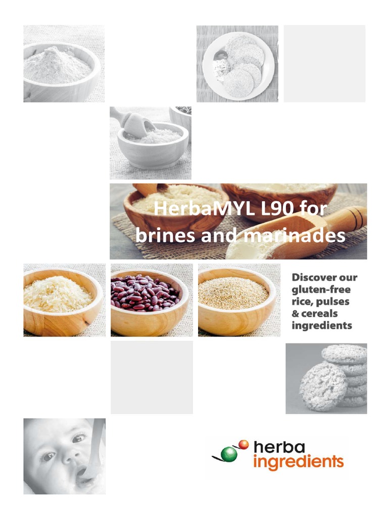 Appl Sheet HerbaMYL L90 For Brines and Marinades | PDF | Starch ...