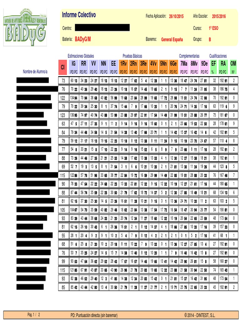 Badyg M Ejemplo de Informe | PDF | Inteligencia | Memoria