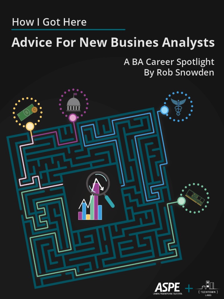 Rob Snowden Spotlight Draft 2 | PDF | Child Support | Business Analysis