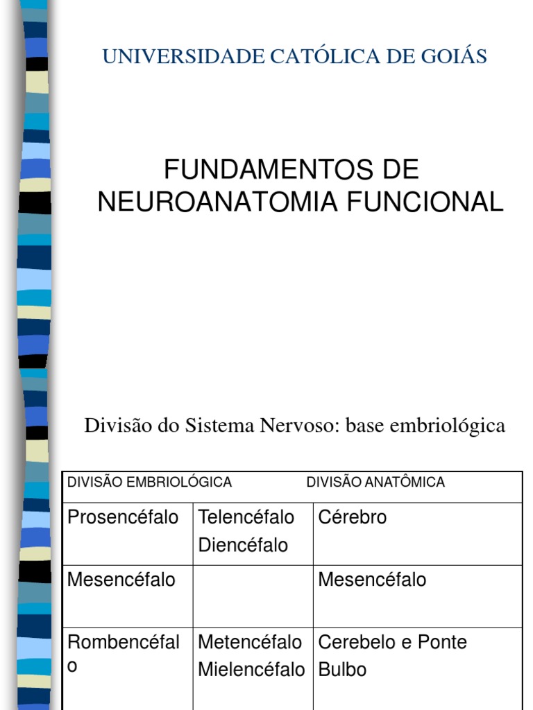 Neuroanatomia Completa | PDF | Cerebelo | Sistema límbico