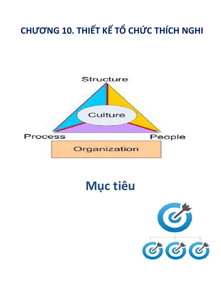 Chuong 10 - Thiet Ke To Chuc Thich Nghi | PDF