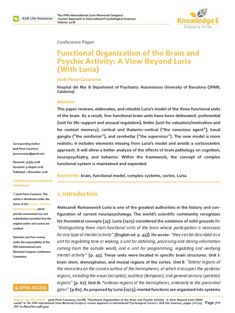 Functional Organization of The Brain and Psychic Activity | PDF ...