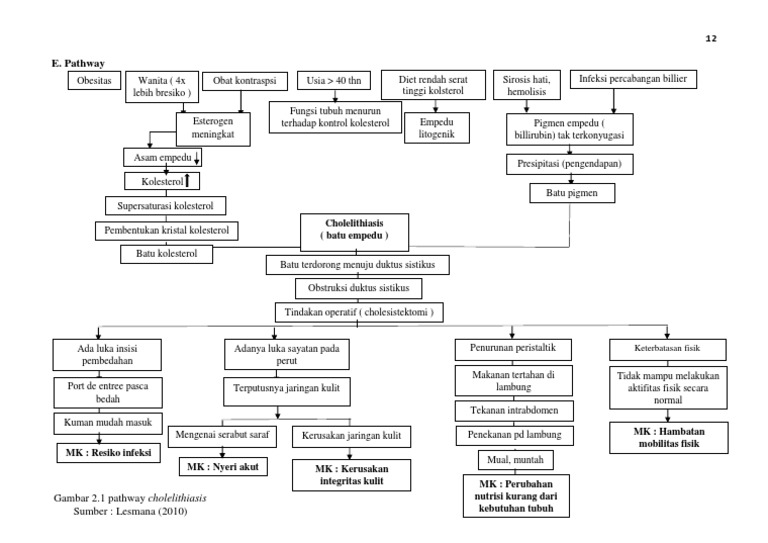 Pathway Cholelithiasis | PDF