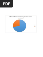 Questionnaire On Child Labour | PDF