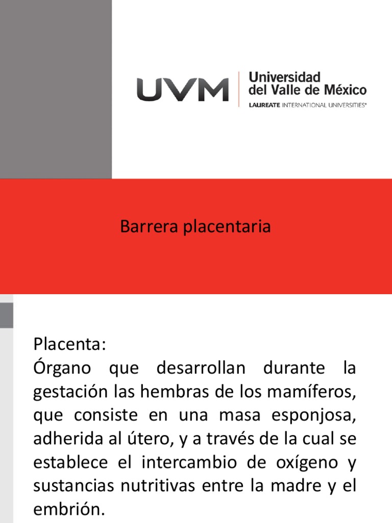 Barrera Placentaria | PDF | Placenta | Feto