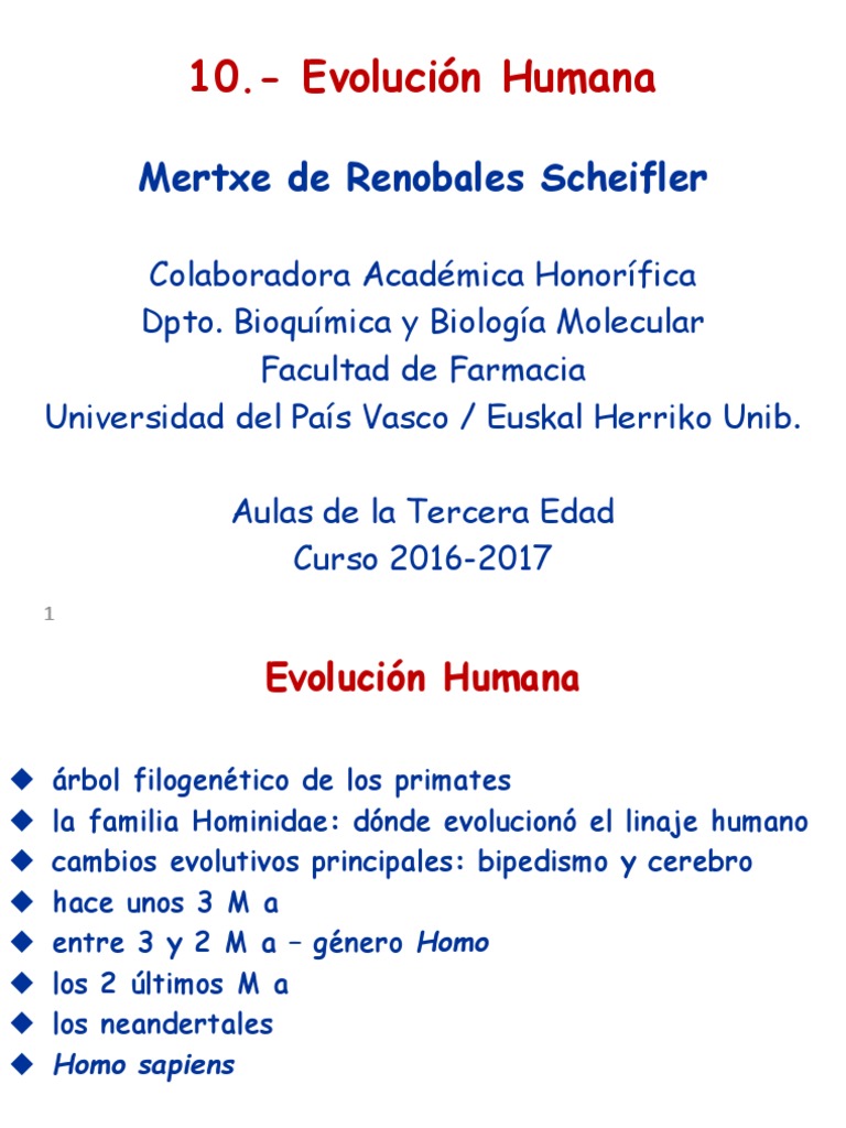 Evolución del Linaje Humano | PDF | Hominidae | Homo