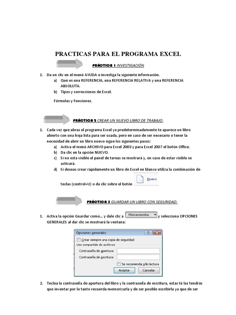 13 Prácticas de Excel | PDF | Point and Click | Microsoft Excel