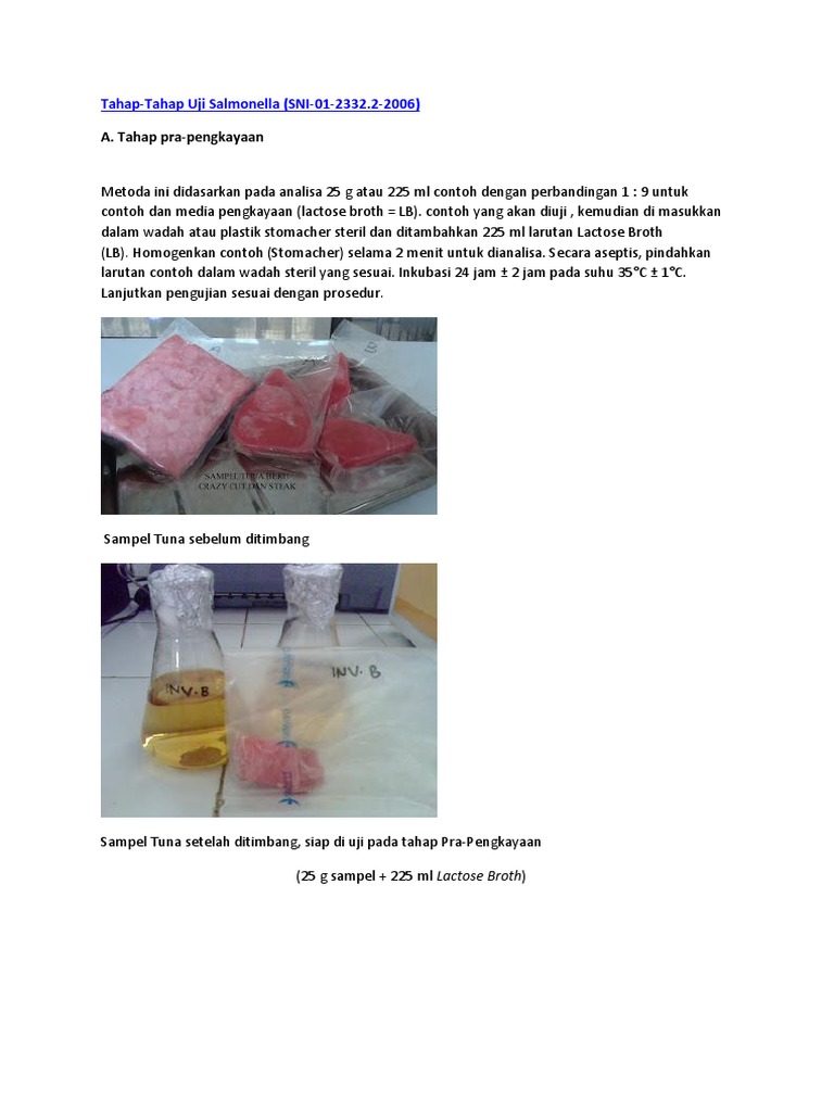 Tahap Uji Salmonella | PDF | Sains & Matematika