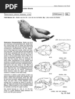 Snake Anatomy and Physiology | PDF | Snake | Senses