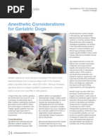 Canine and Feline Tail Amputation Guide | PDF | Surgery | Anesthesia