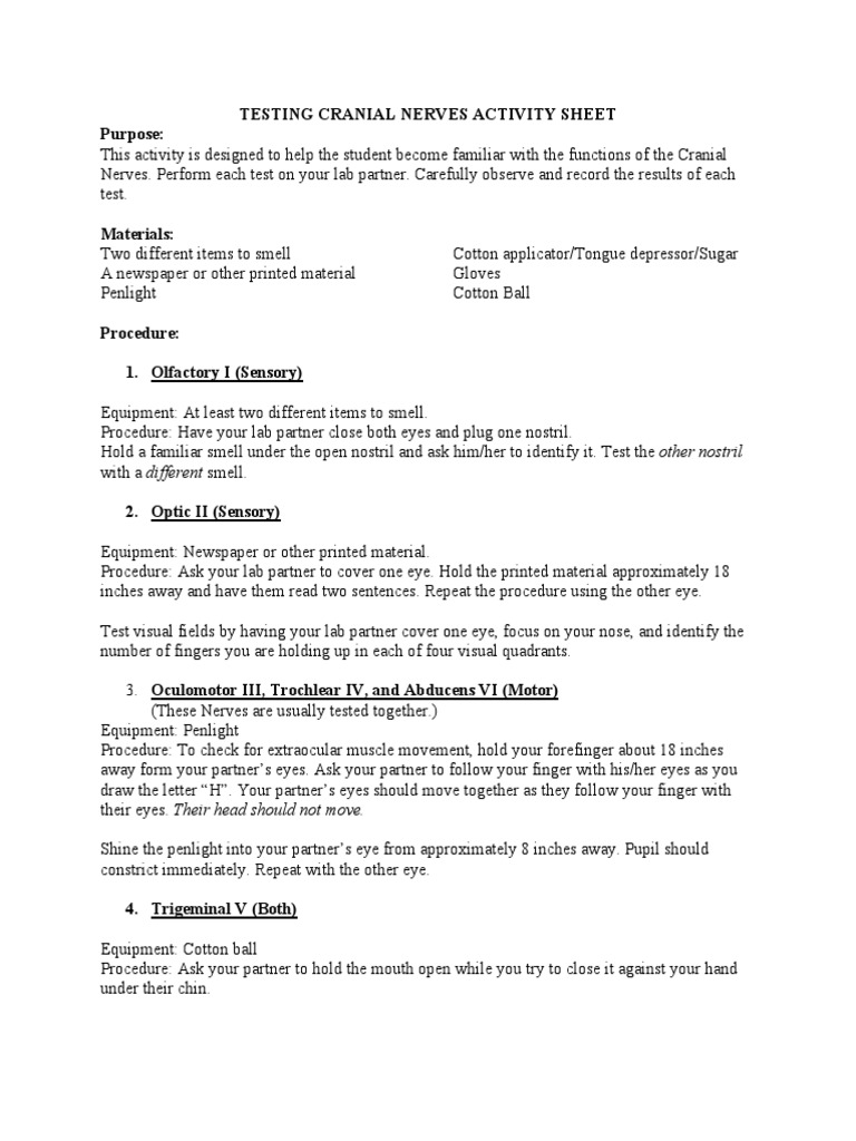 Cranial Nerves Testing Activity Sheet | PDF | Face | Neuroanatomy