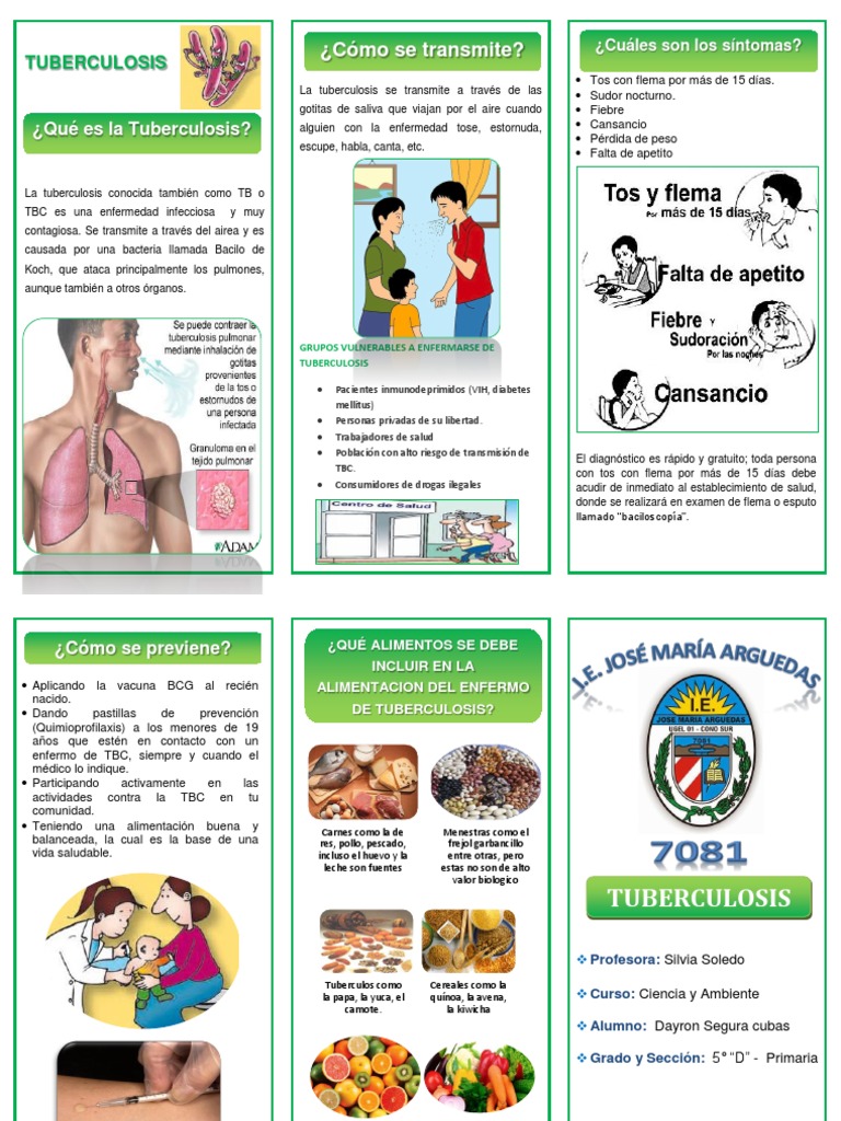 Triptico de Tuberculosis | PDF | Tuberculosis | Enfermedades y trastornos