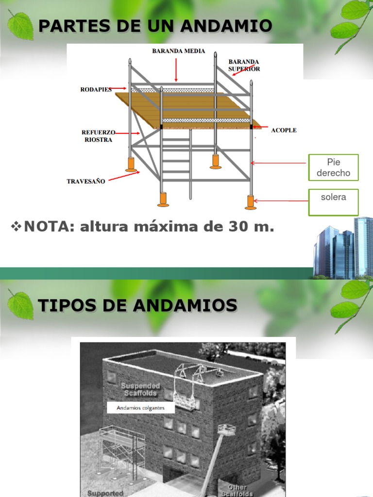 Partes de Un Andamio | PDF | Naturaleza