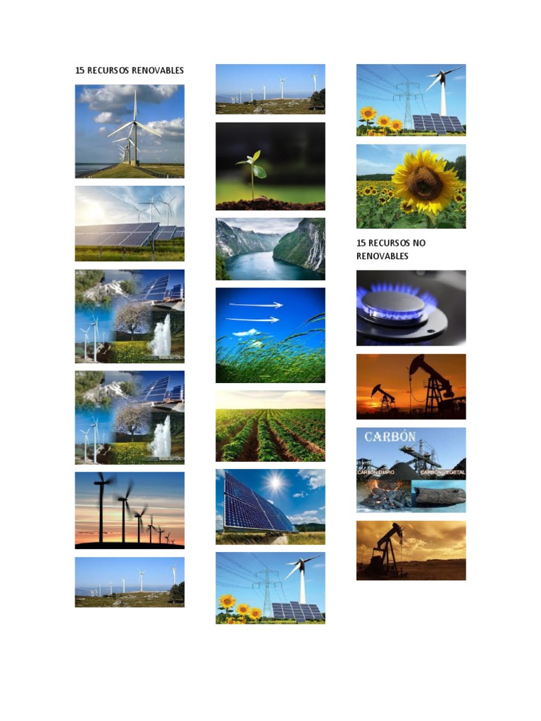 15 RECURSOS RENOVABLES
