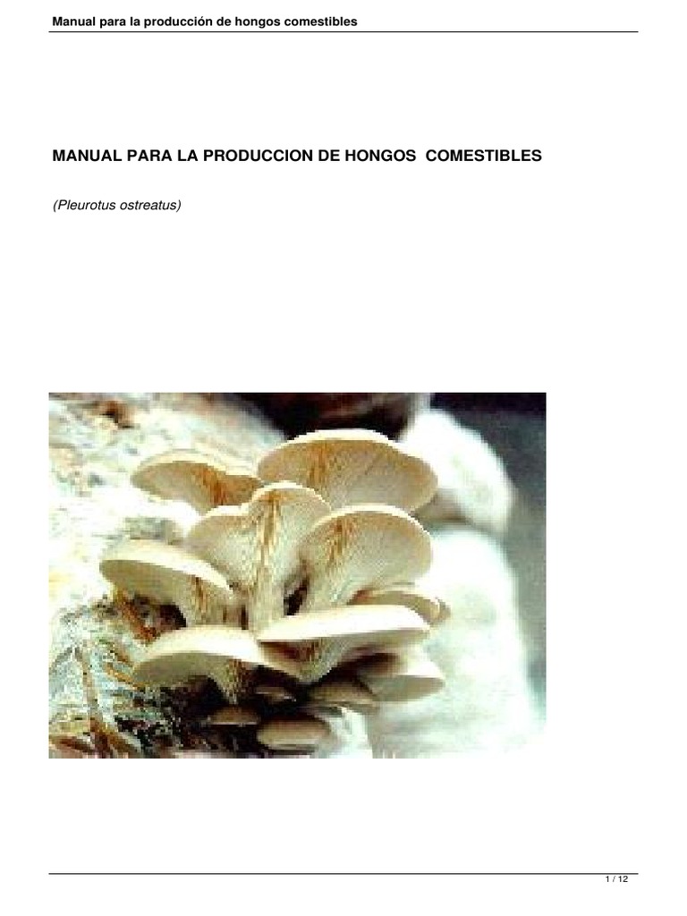 Cultivo De Hongos Pdf Hongo Siembra