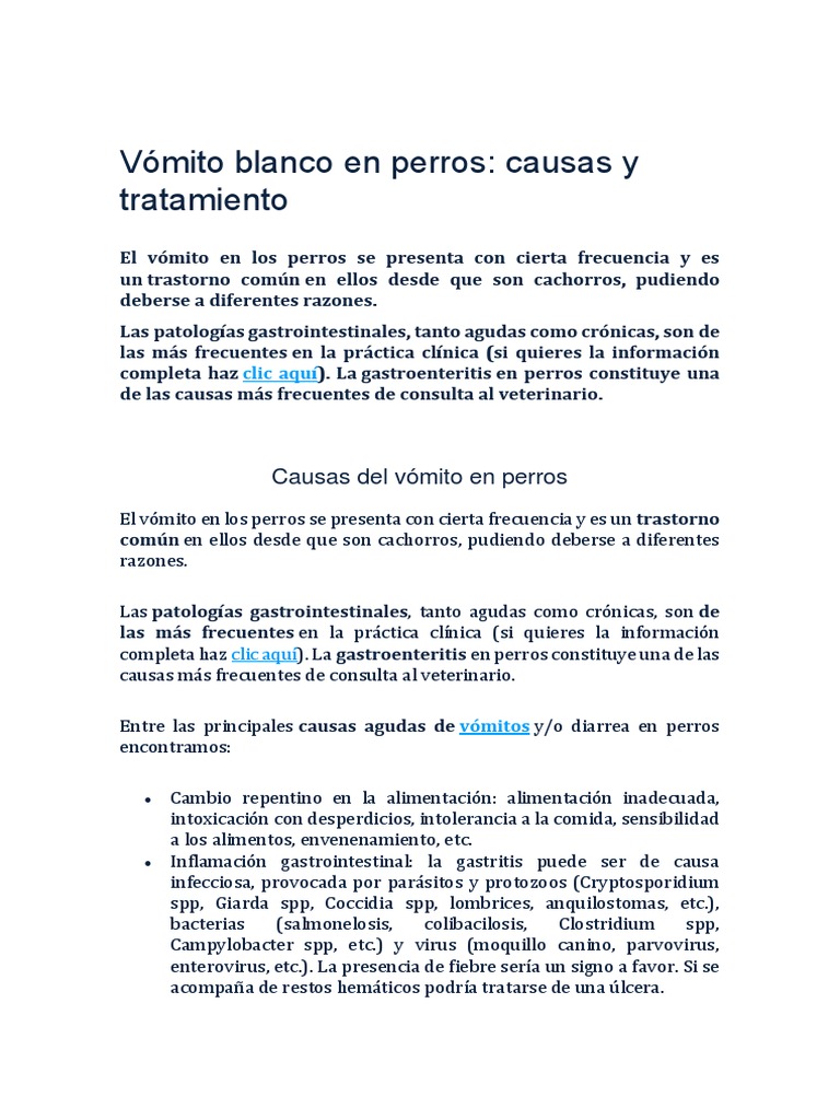 Vómito Blanco en Perros | PDF | Vómitos | Diarrea