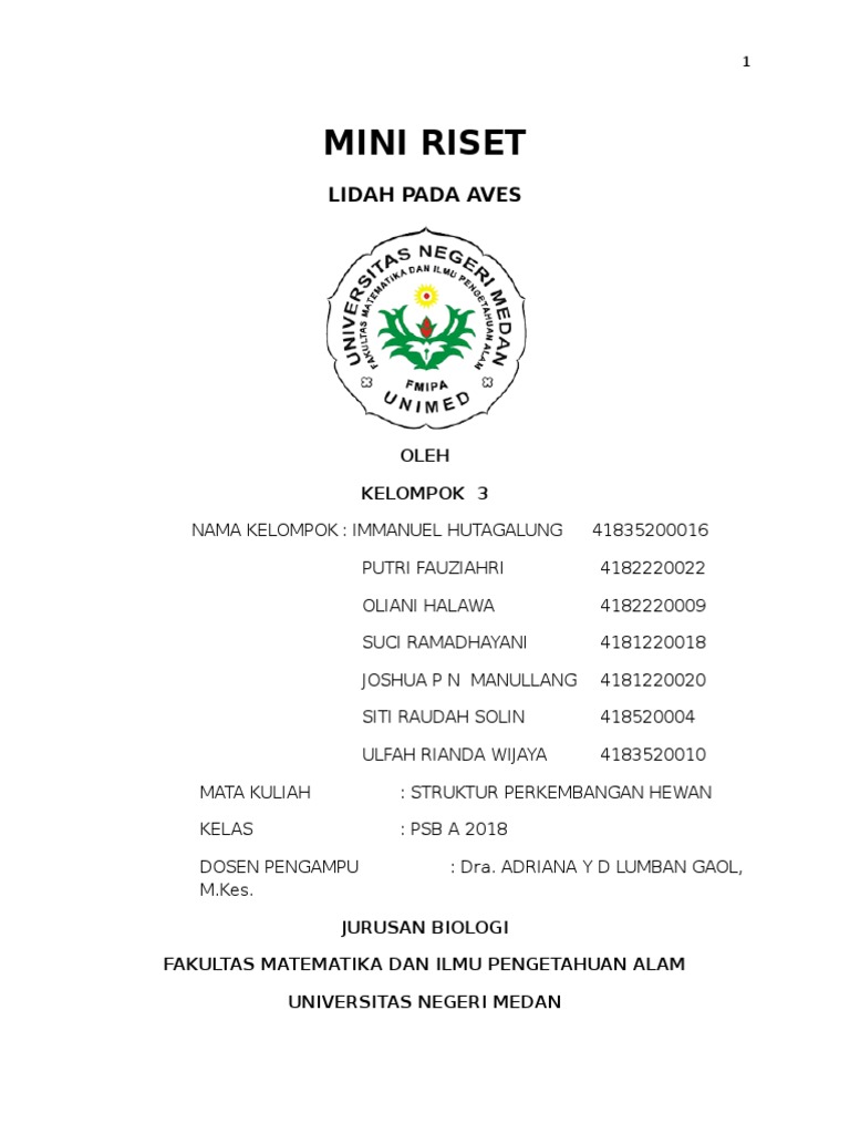 Mini Riset | PDF | Sains & Matematika