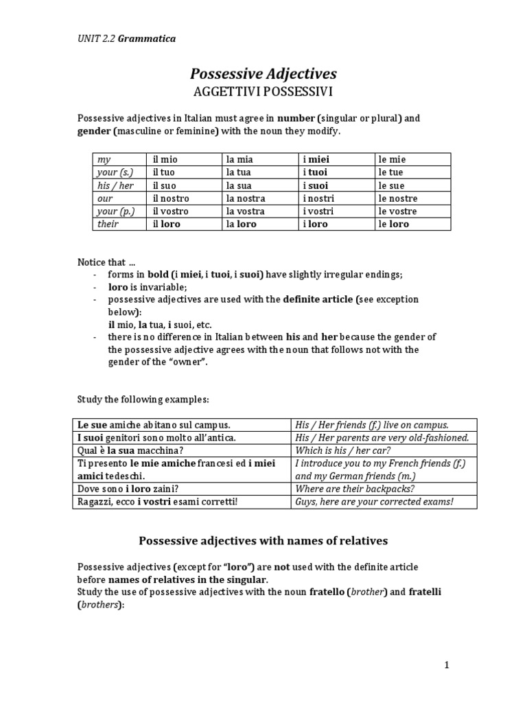 Italian Possessive Adjectives | PDF | Grammatical Gender | Adjective