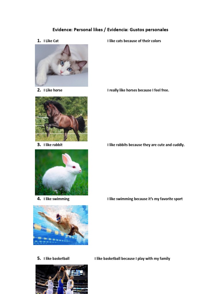 Personal Preferences and Hobbies | PDF