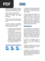 Zimogenos o Proenzimas | PDF | Salud y bienestar