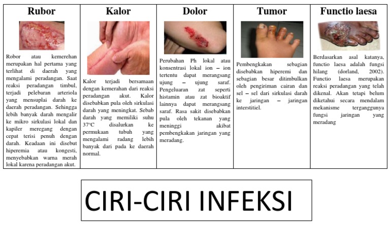 Ciri Ciri Infeksi | PDF