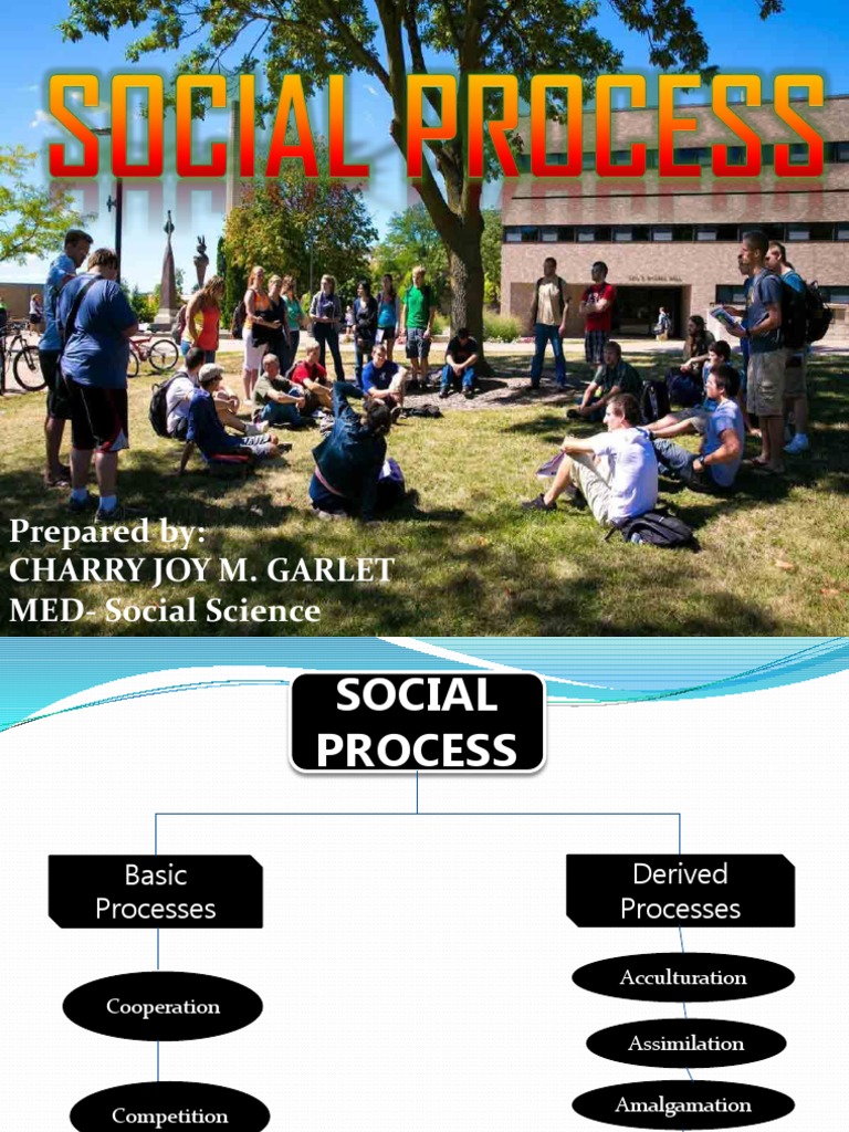 Social Process | PDF | Cultural Assimilation | Goal