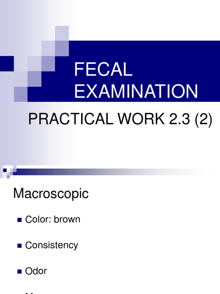 Fecal Examination Procedures Guide | PDF | Self-Improvement | Science ...