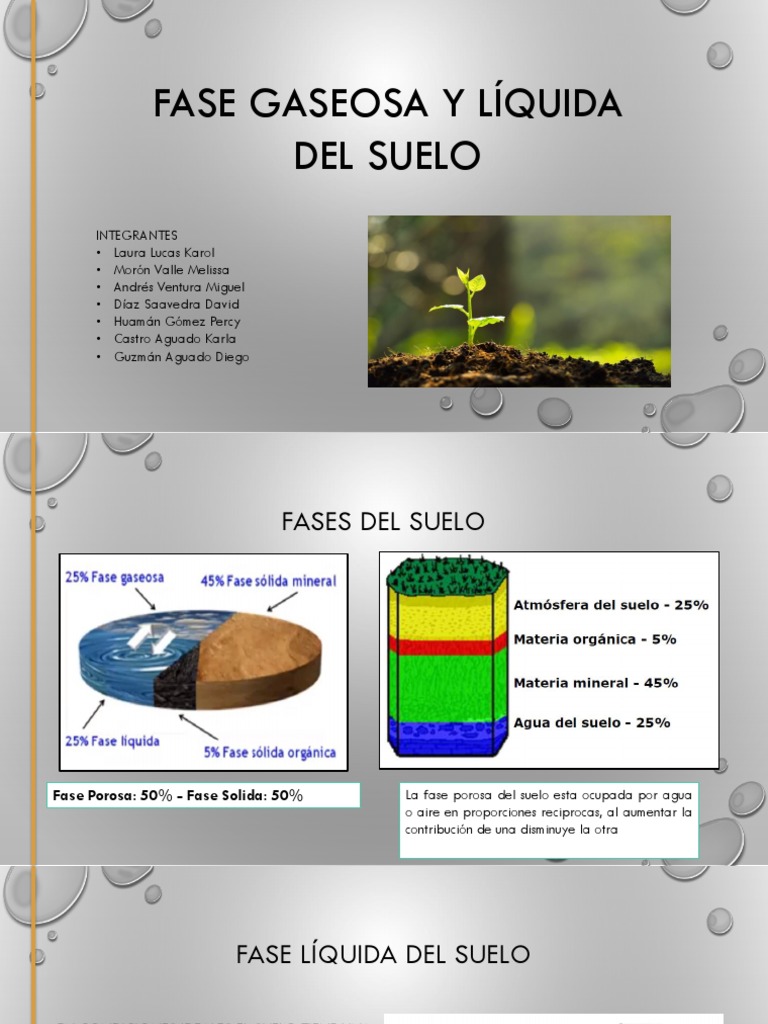 Fase Liquida | PDF | Suelo | Humedad