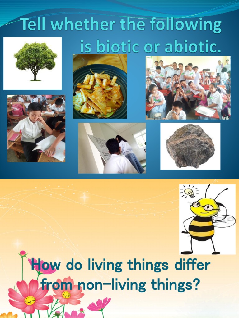 Interdependence in Ecosystems Explained | PDF | Ecosystem ...