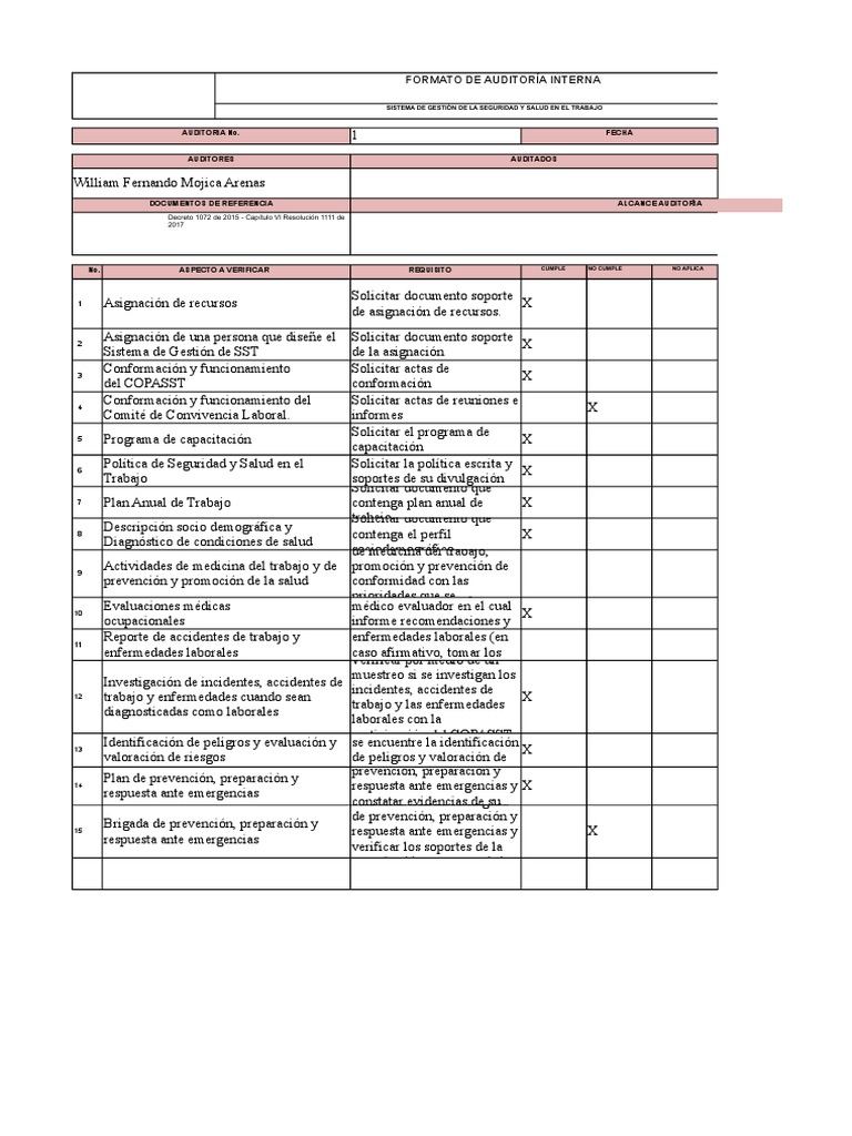 Formato de Auditoria Interna Clase Hoy | PDF | Auditoría | Business