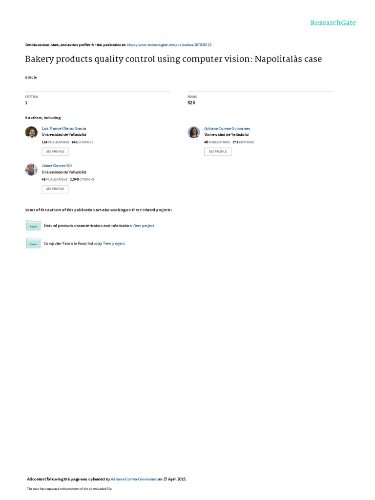 Bakery Products Quality Control Using Computer Vision: Napolitalàs Case ...