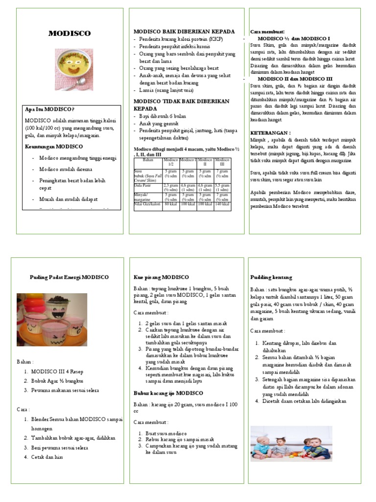 Panduan Konsumsi MODISCO | PDF