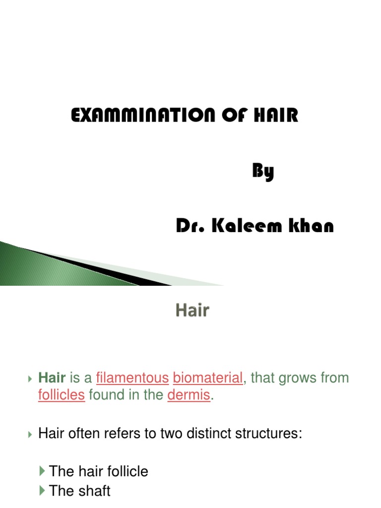 Hair and Fiber Analysis | PDF | Hair | Integumentary System