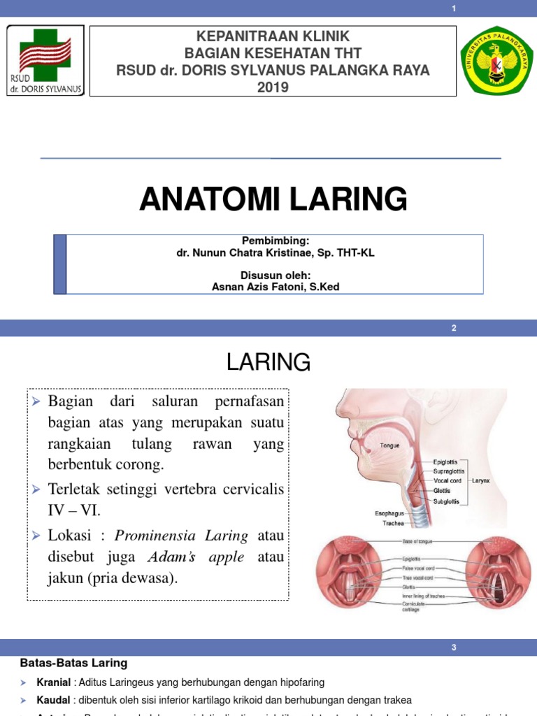 Anatomi dan Fisiologi Laring | PDF