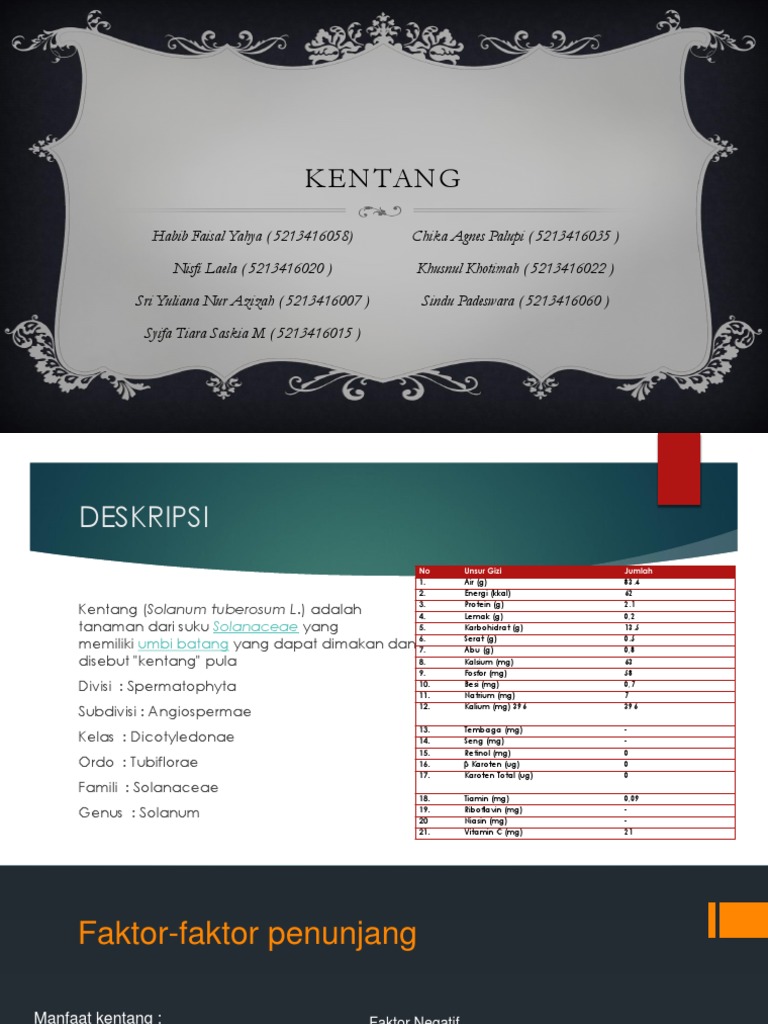 PPT Kentang | PDF