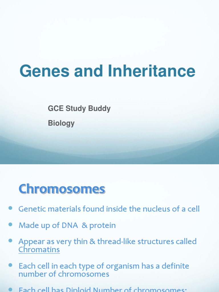 Genes and Inheritance: GCE Study Buddy Biology | PDF | Meiosis | Ploidy