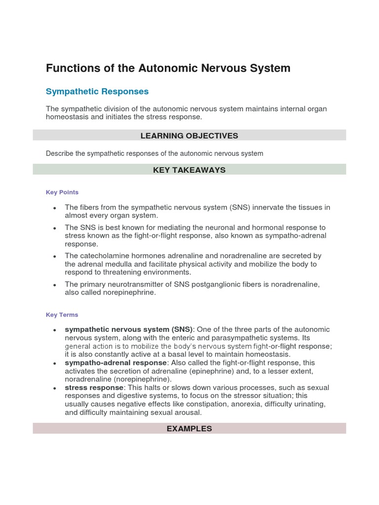 Autonomic Nervous System | PDF | Autonomic Nervous System | Fight Or ...