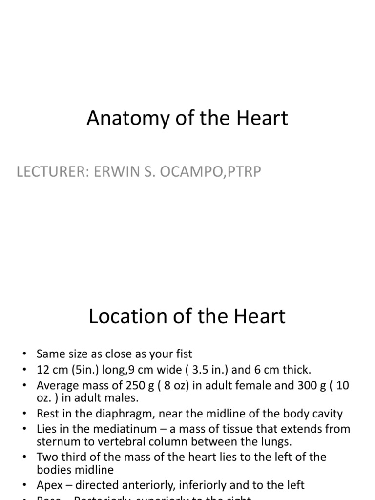 Anatomy of The Heart - Lecture PDF | Download Free PDF | Coronary ...