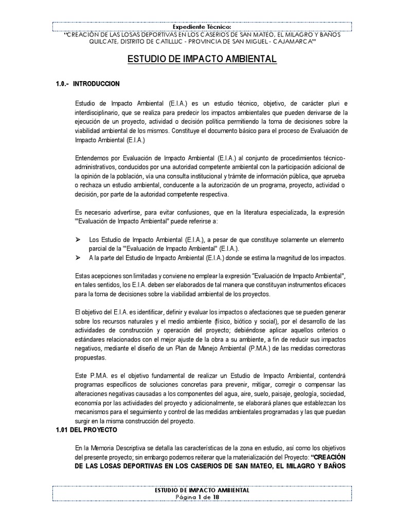 Informe de Impacto Ambiental | PDF | Evaluación de impacto ambiental ...
