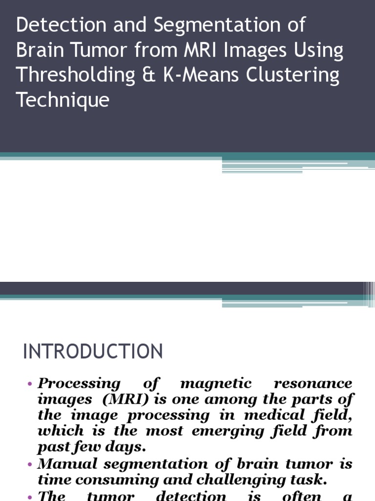 Brain MRI Segmentation | PDF