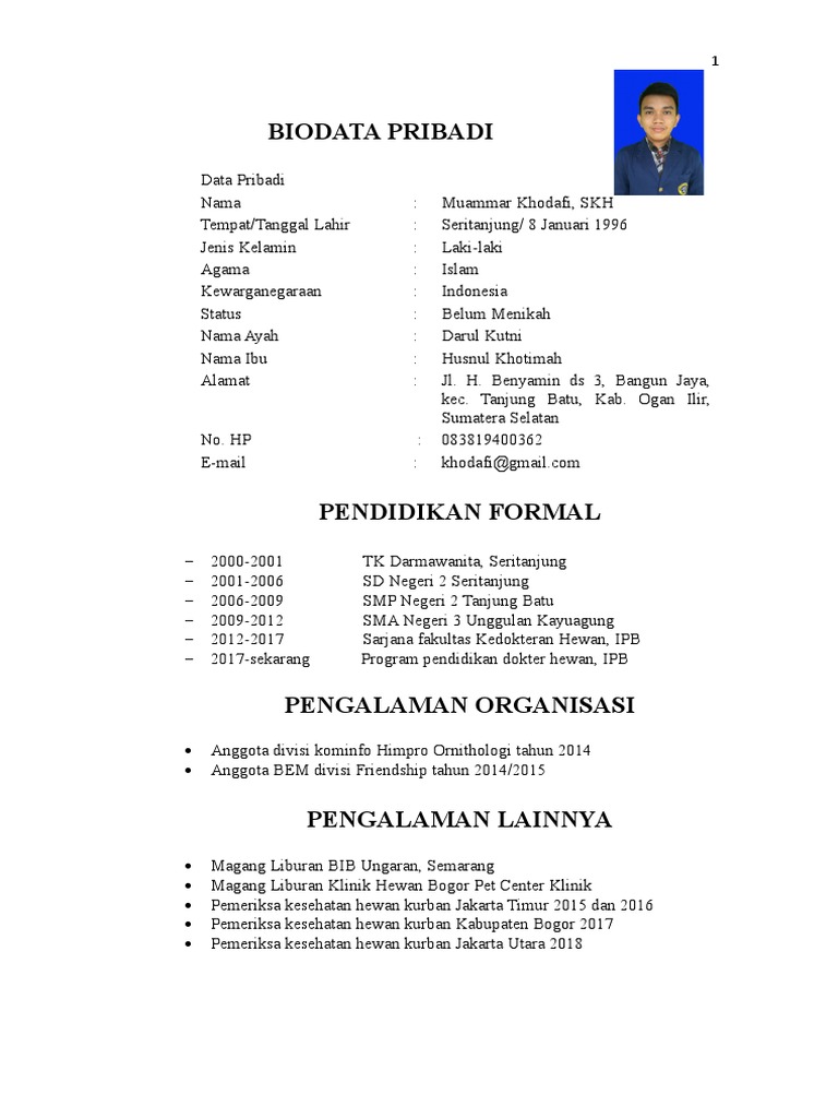 Biodata Dafi | PDF