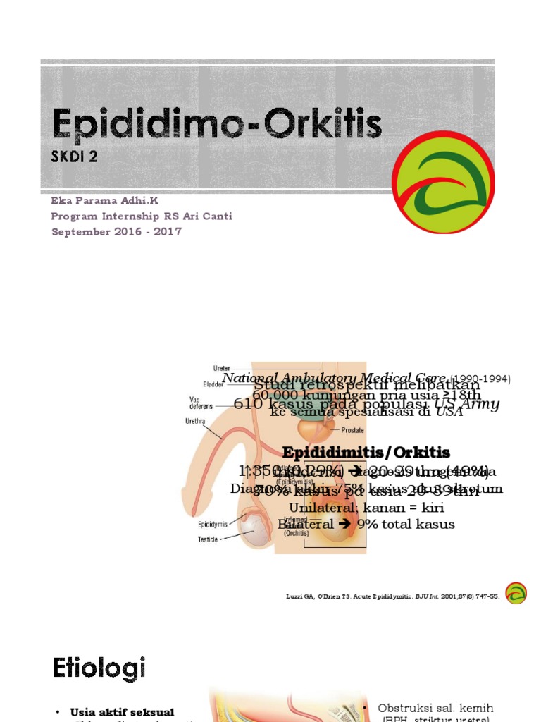 Epididimo-Orkitis PPSX | PDF | Testicle | Male Genital Disorders