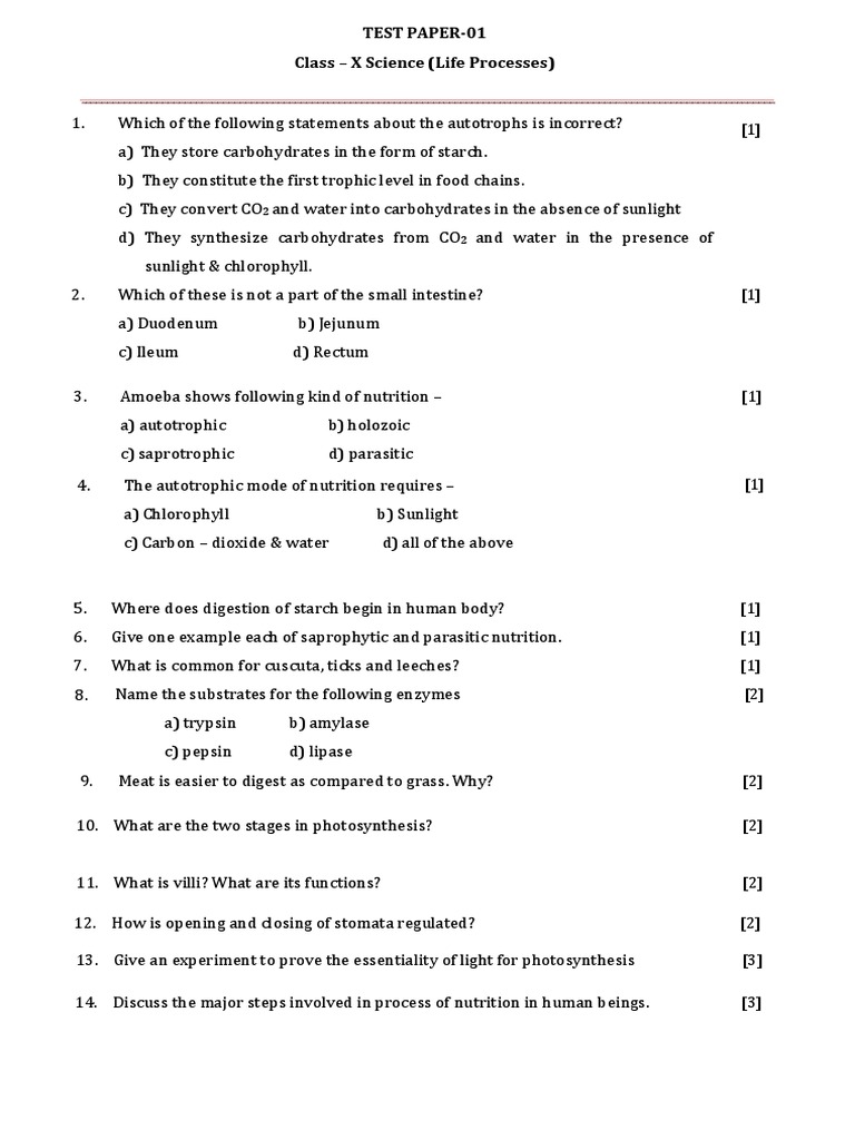 Class 10 Life Processes Test Paper | PDF