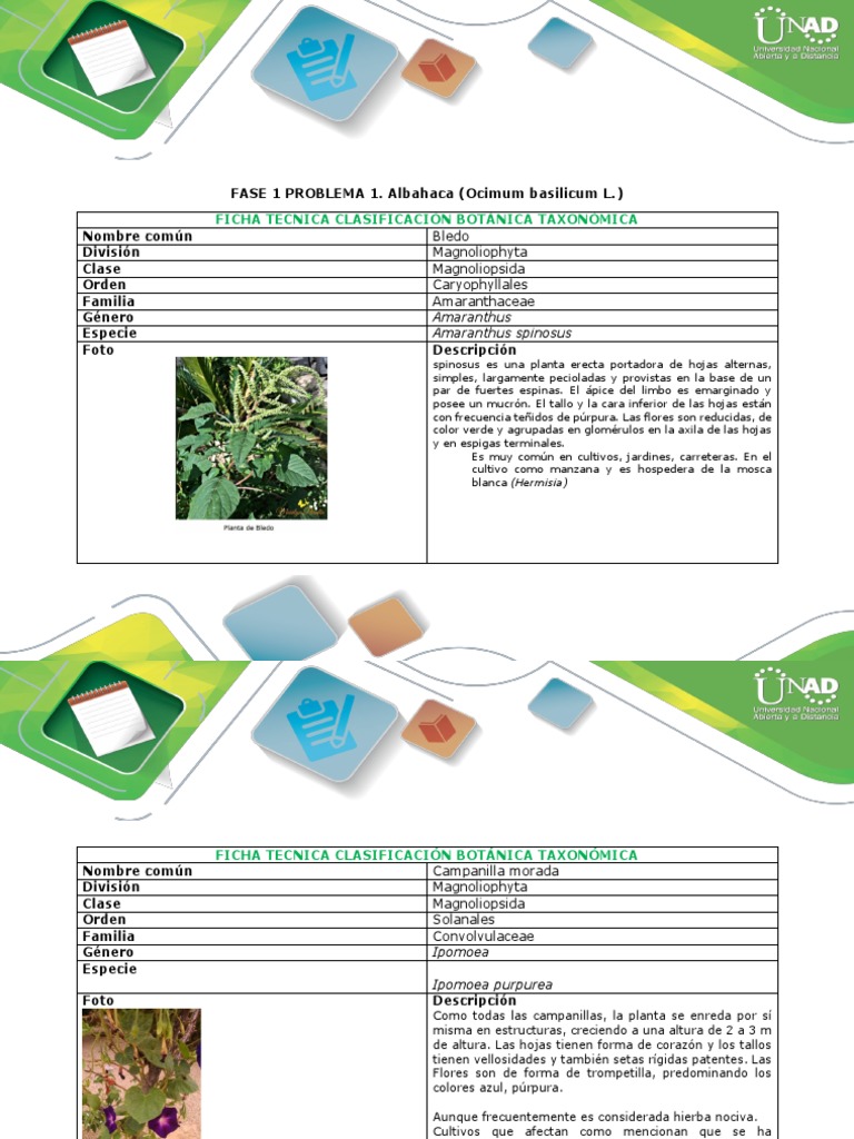 Taxonomia Manejo de Arvenses | PDF | Botánica | Cultivos
