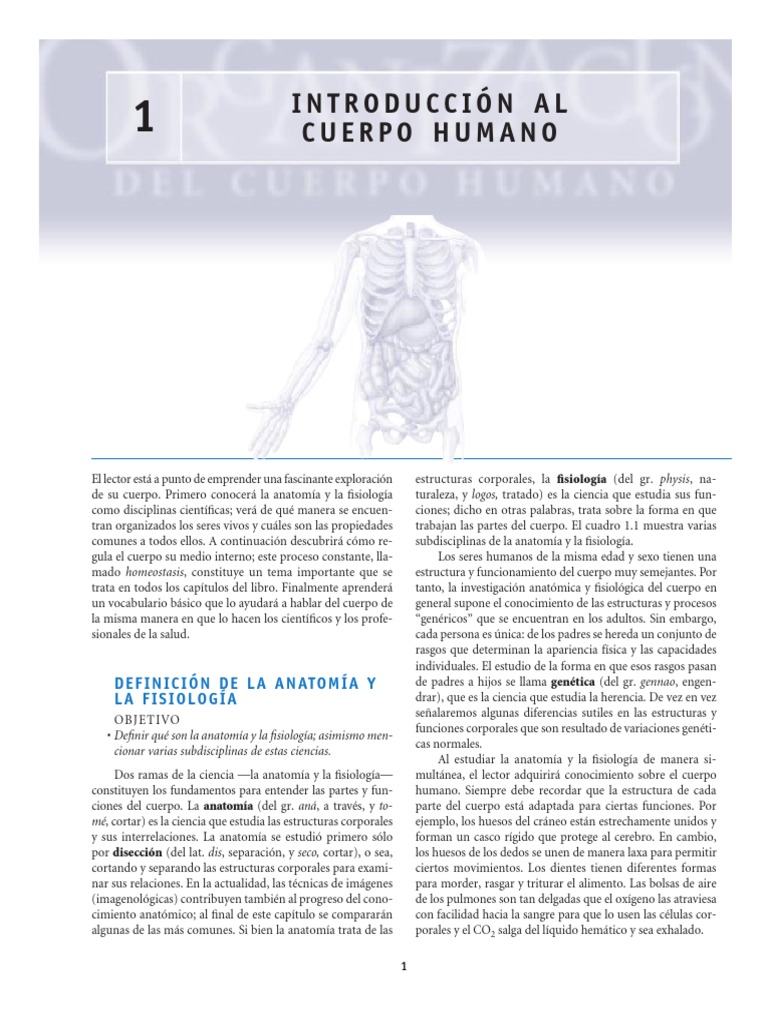 Anatomía Y Fisiología Del Cuerpo Humano Pdf Sistema Digestivo