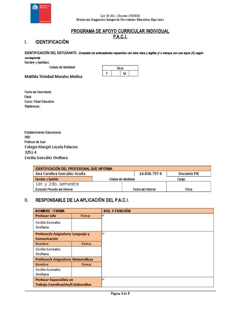 Paci Formato Ministerio | PDF | Evaluación | Aprendizaje