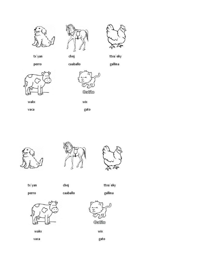 Animales en Mam | PDF