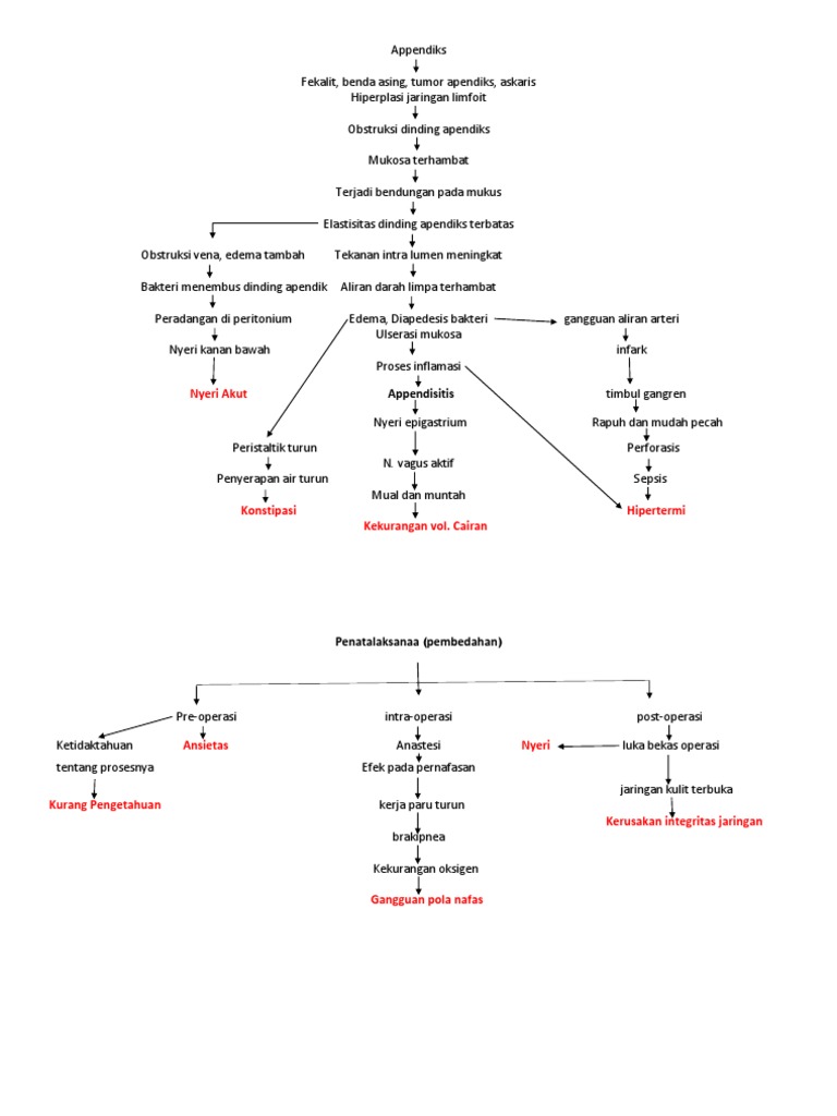 Pathway Appendiks | PDF