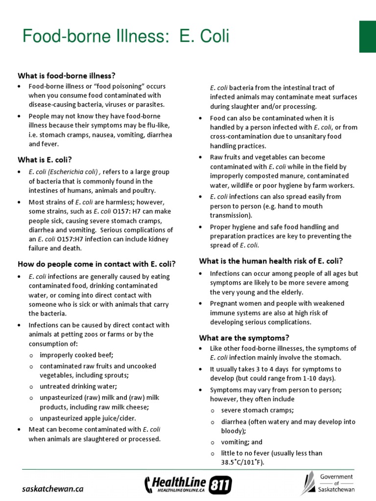 Food-Borne Illness: E. Coli | PDF | Foodborne Illness | Escherichia Coli